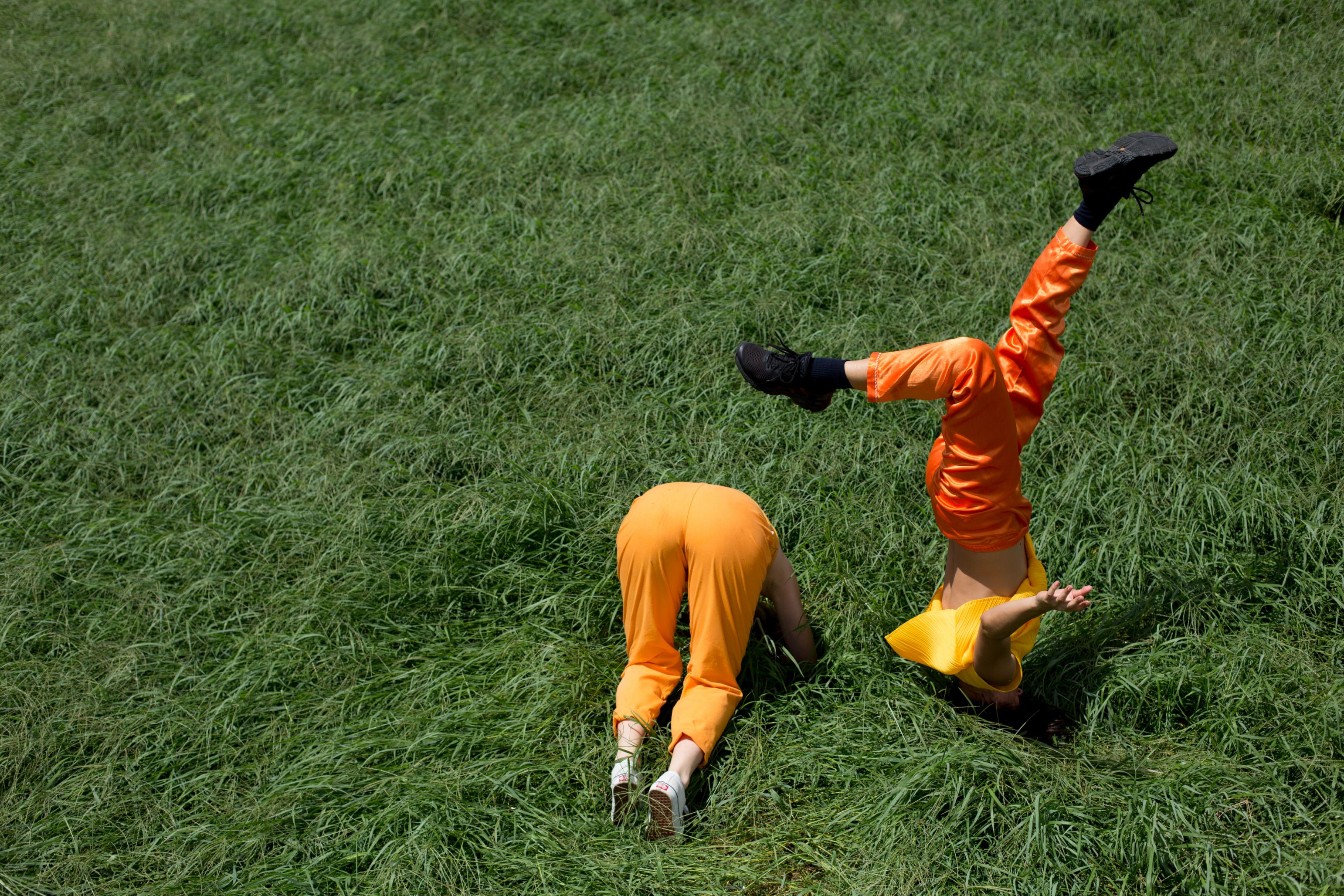 Home | The Ian Potter Foundation