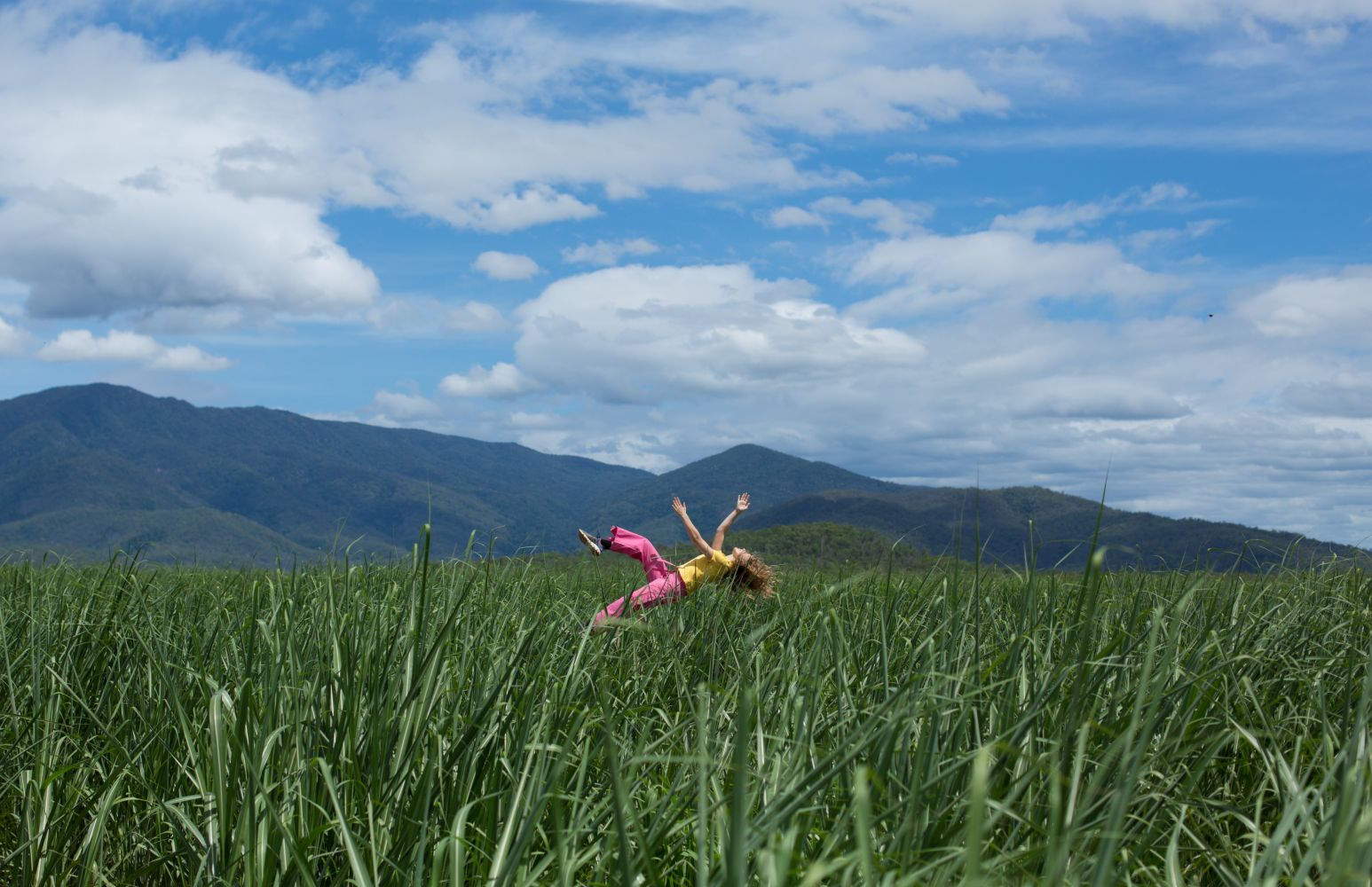 Home | The Ian Potter Foundation