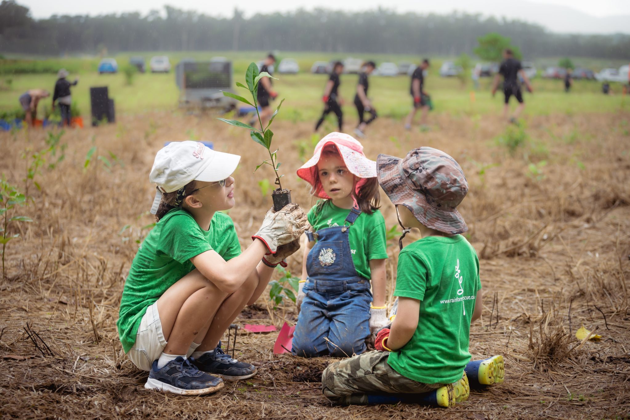 Home | The Ian Potter Foundation