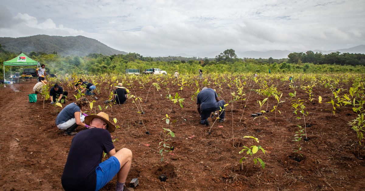 Sustainable grants September 2021 | The Ian Potter Foundation